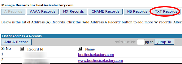 How to Add Txt Record for Domain?